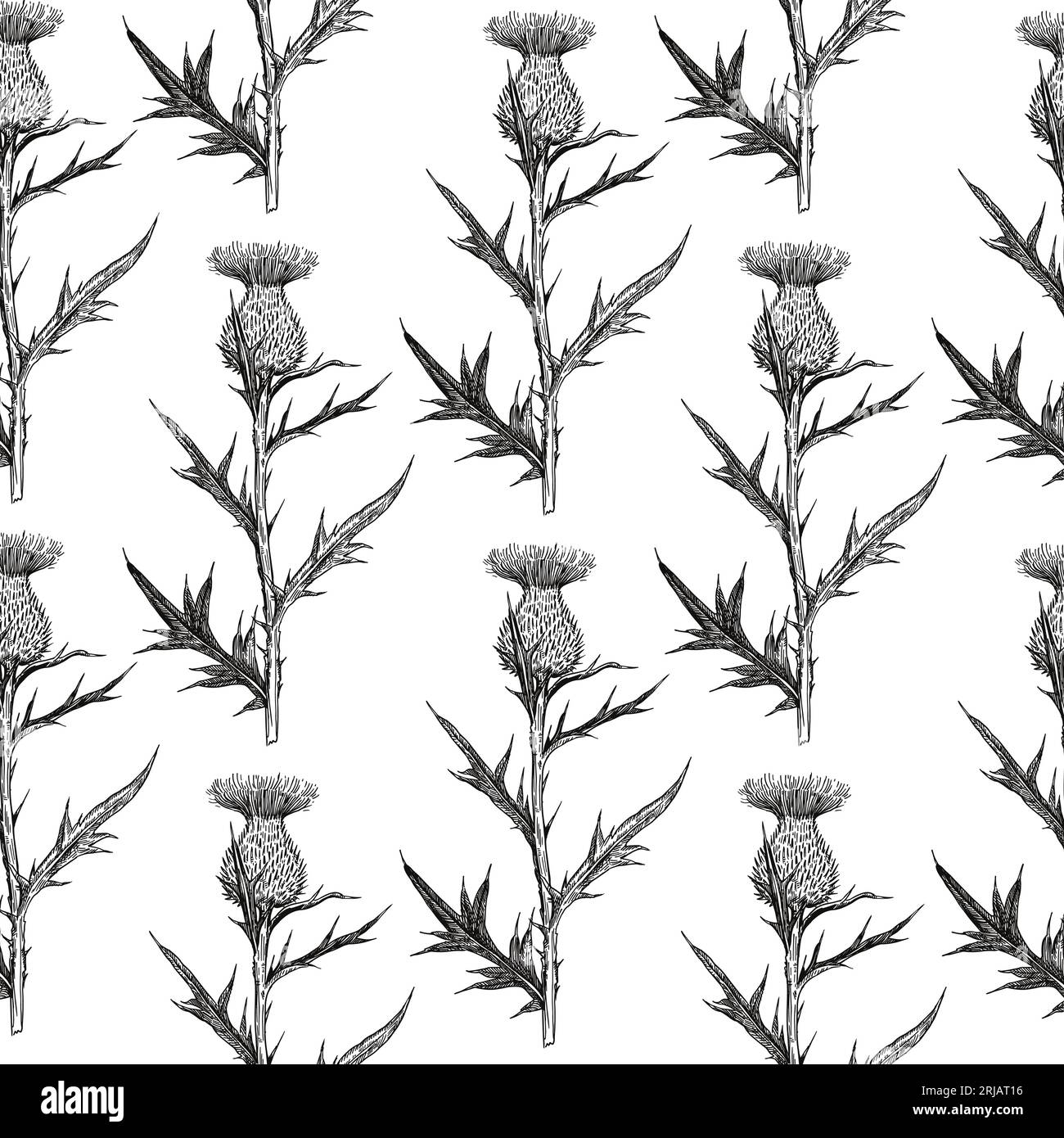 Scottish plants Stock Vector Images - Alamy