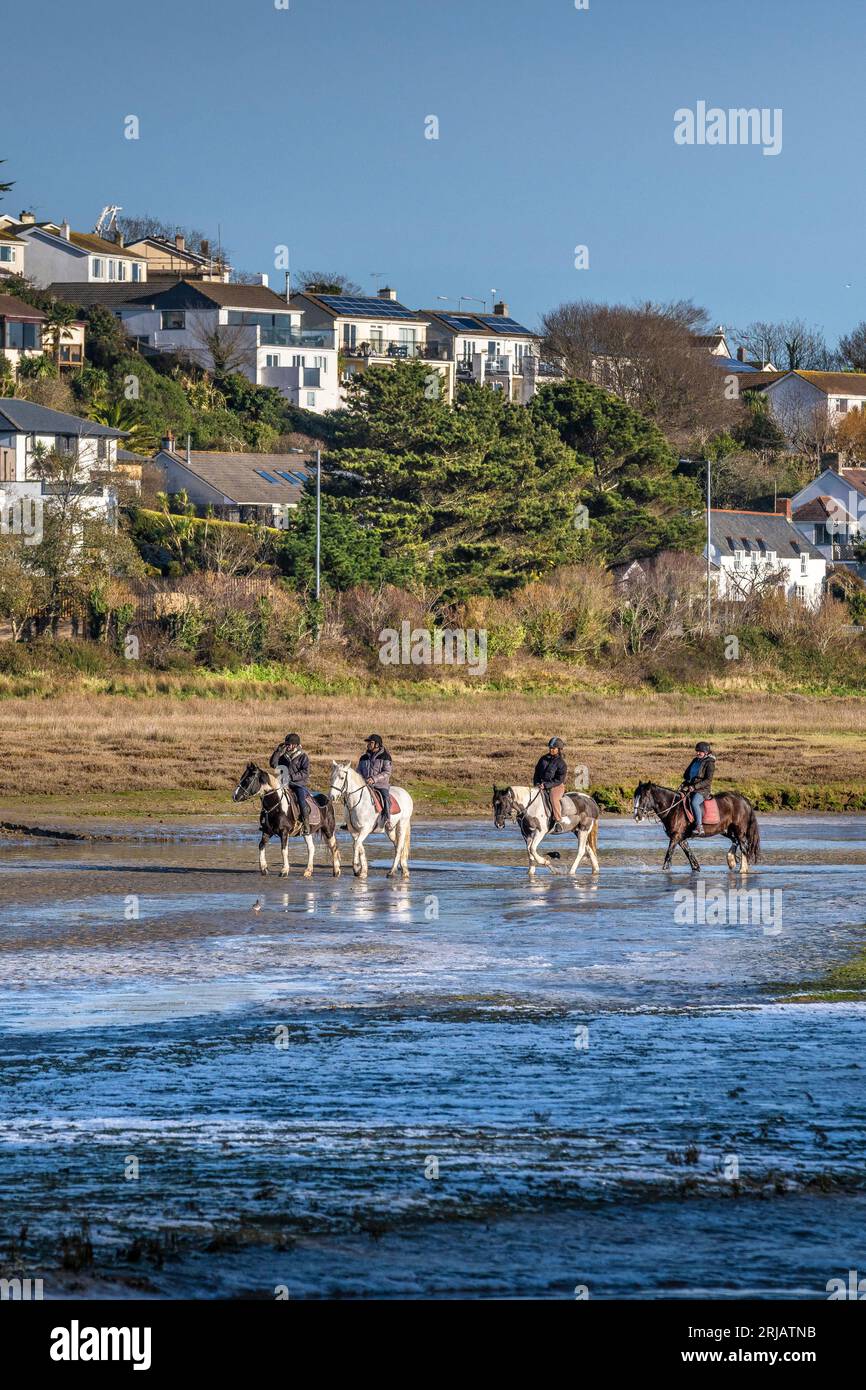 Horse riders riding along the Gannel River in Newquay in Cornwall in ...