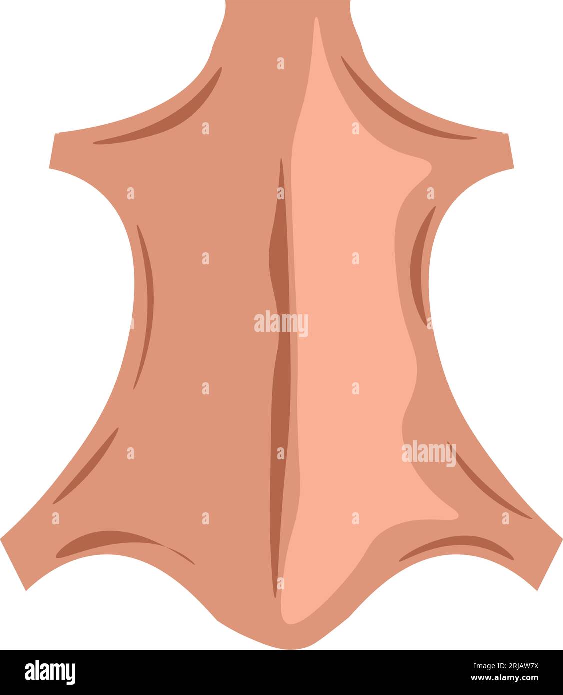 Genuine leather, mammal skin of animal farming Stock Vector Image & Art ...