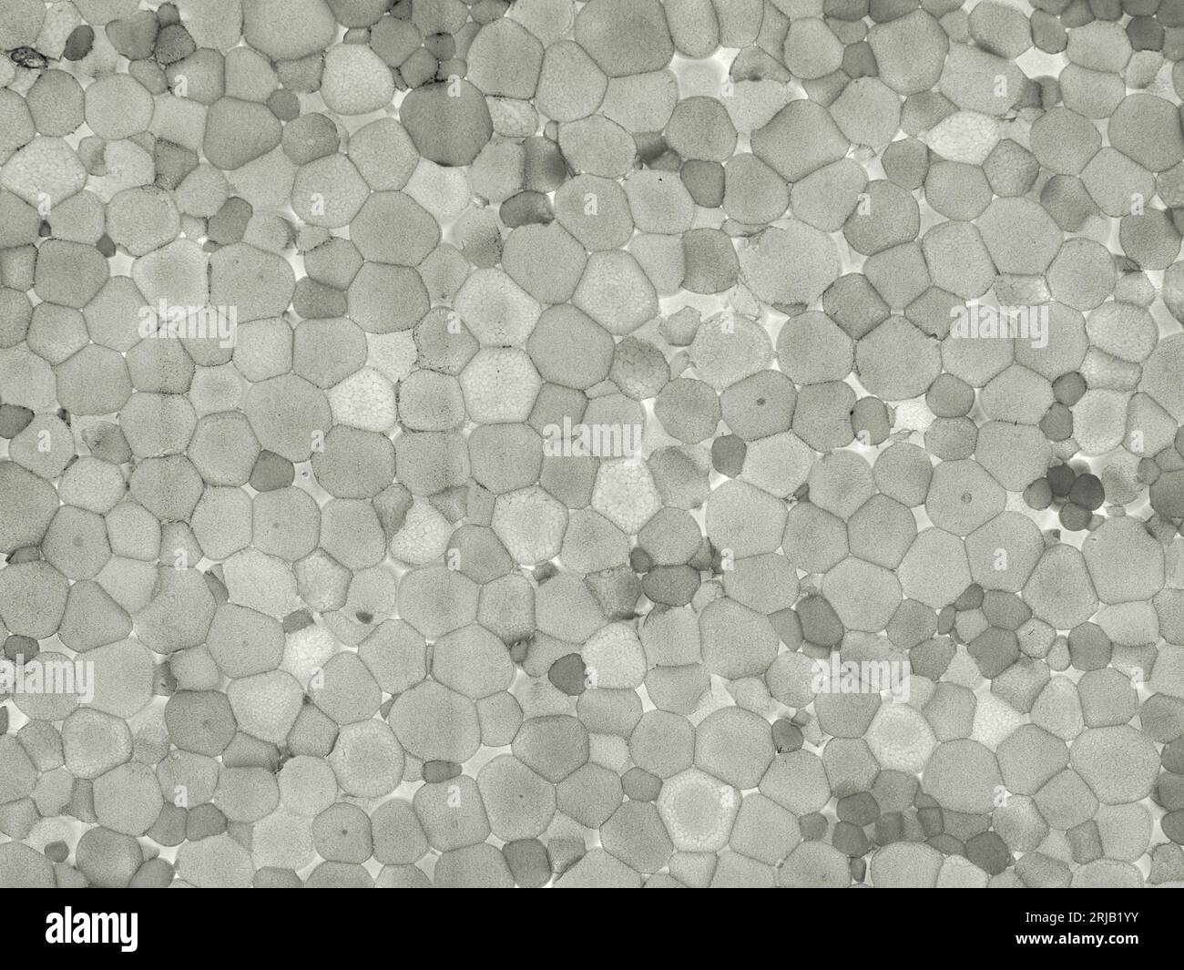 expanded polystyrene plastic texture useful as a background Stock Photo ...