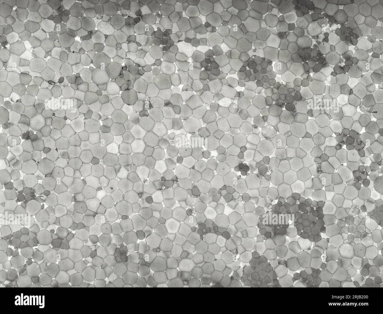 expanded polystyrene plastic texture useful as a background Stock Photo ...