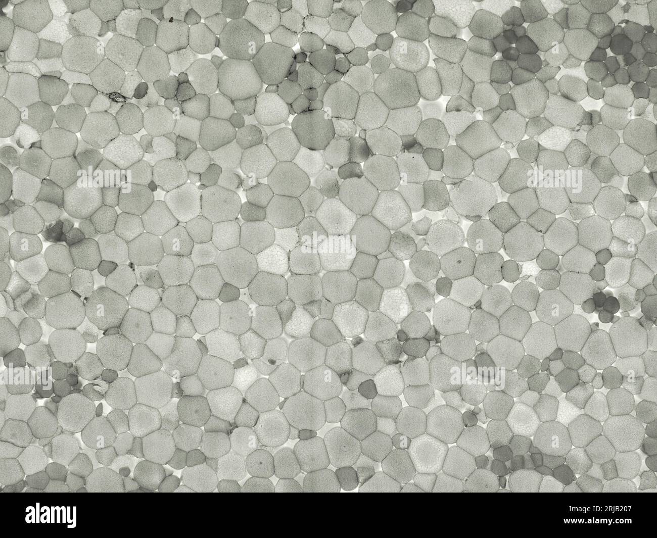 expanded polystyrene plastic texture useful as a background Stock Photo ...