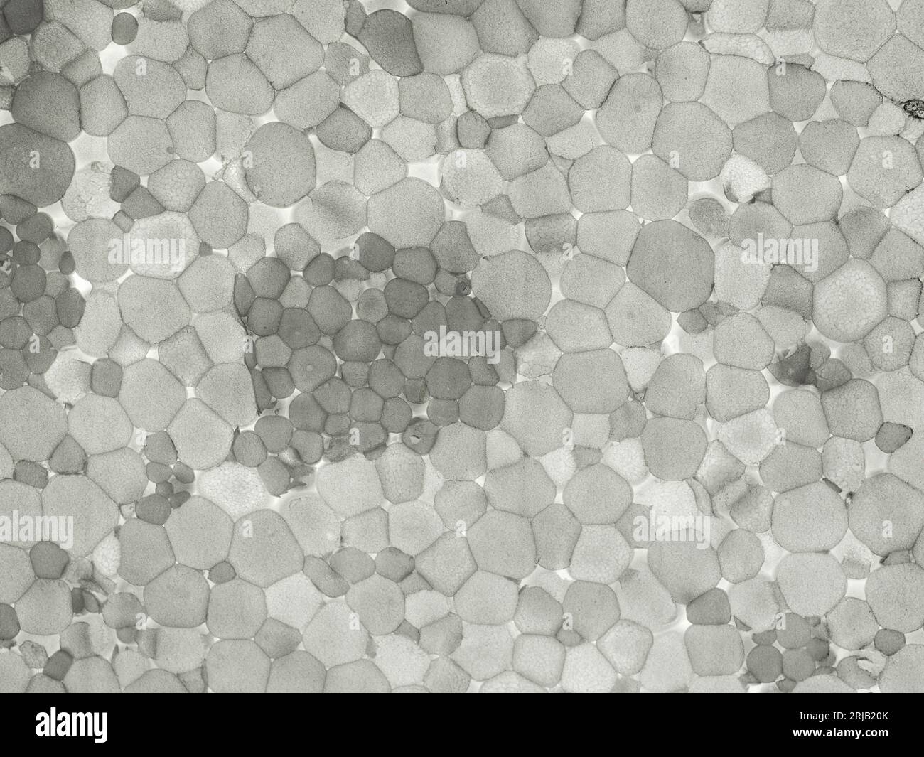 expanded polystyrene plastic texture useful as a background Stock Photo ...