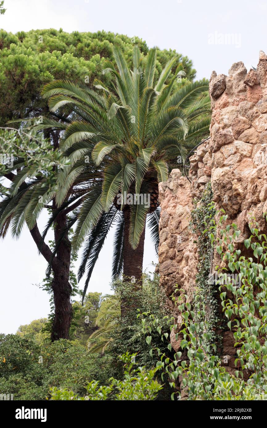 Stone colonnade in Park Guell, Barcelona, designed to resemble tree ...