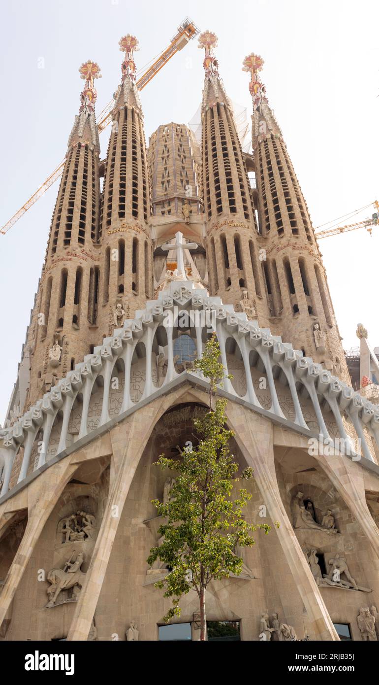 View showcasing the detailed facade of La Sagrada Familia, Gaudi's ...