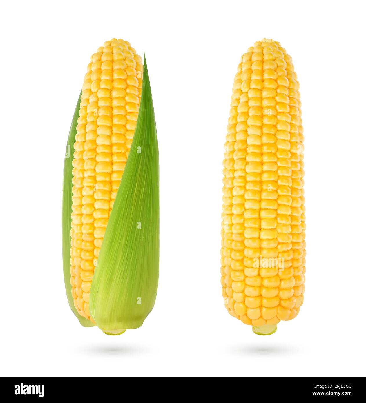 Farm core Stock Vector Images - Alamy