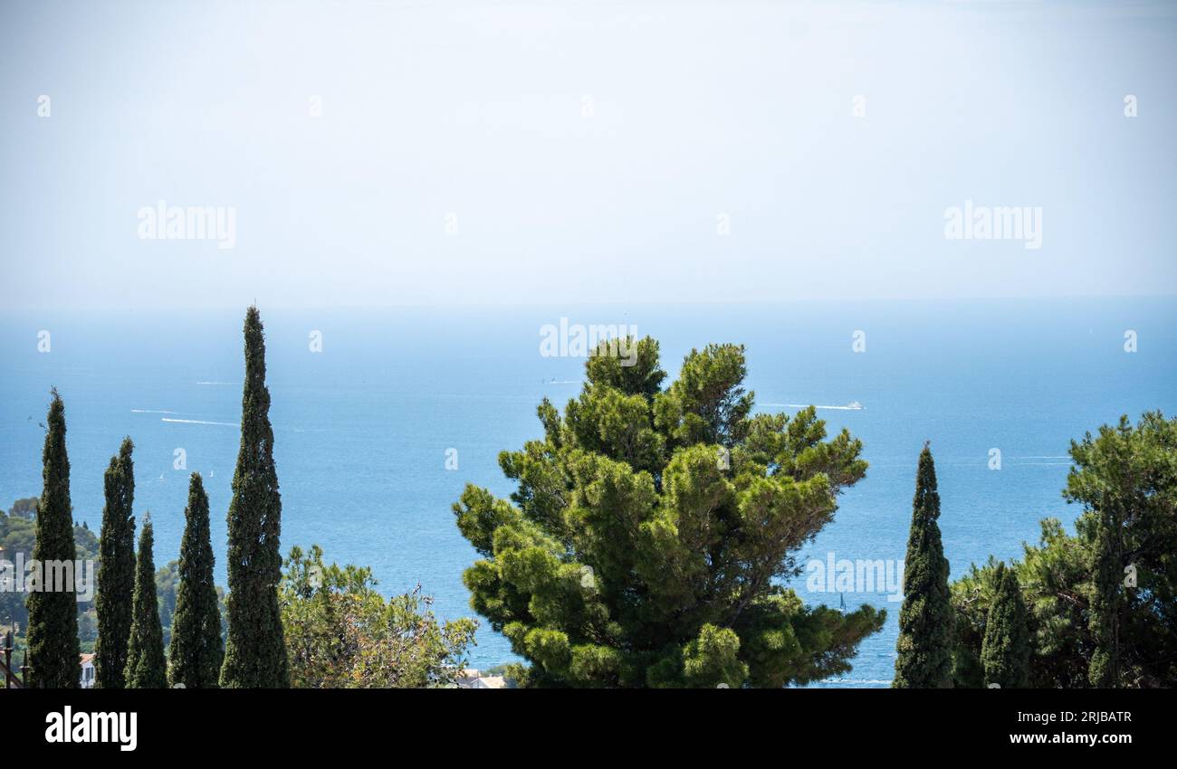 A scenic view of evergreen trees, and the vast ocean beyond Stock Photo ...