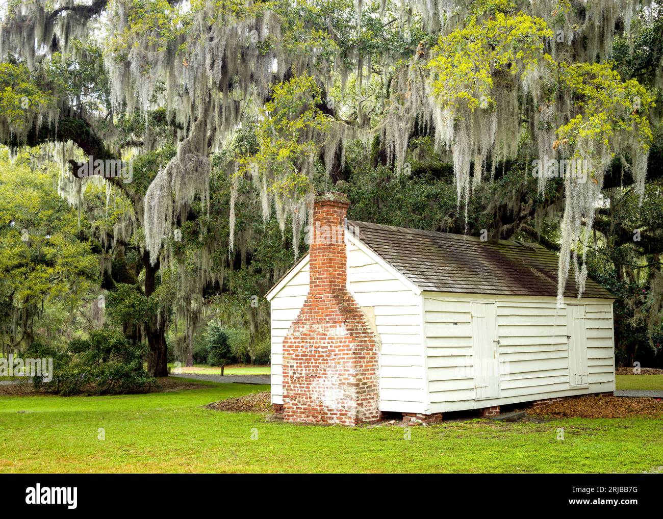 Historic Slave Quarters,Mc Leod Plantation and Live Oak Trees with ...