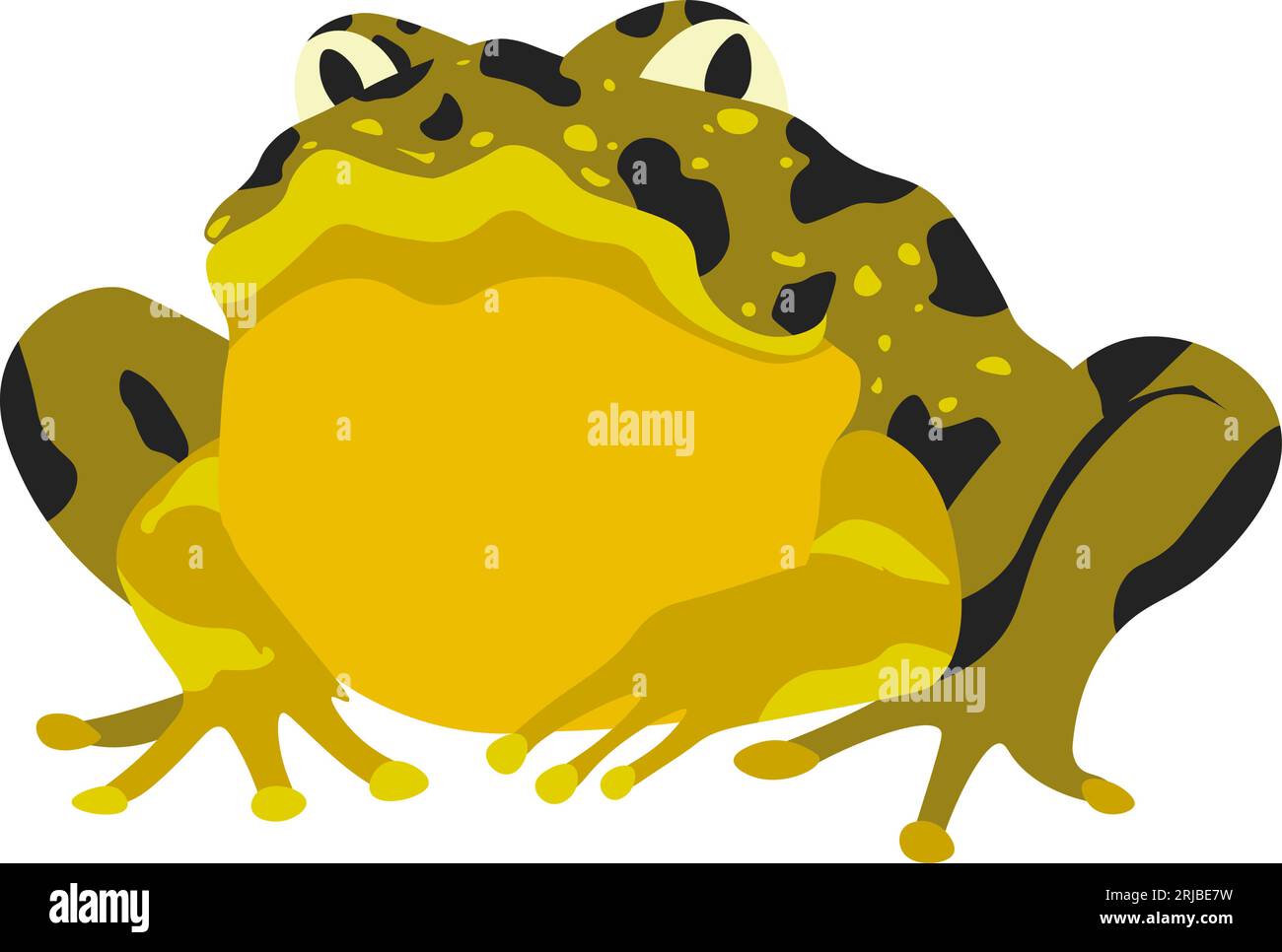 Large toad, frog with spots on skin amphibians Stock Vector Image & Art ...