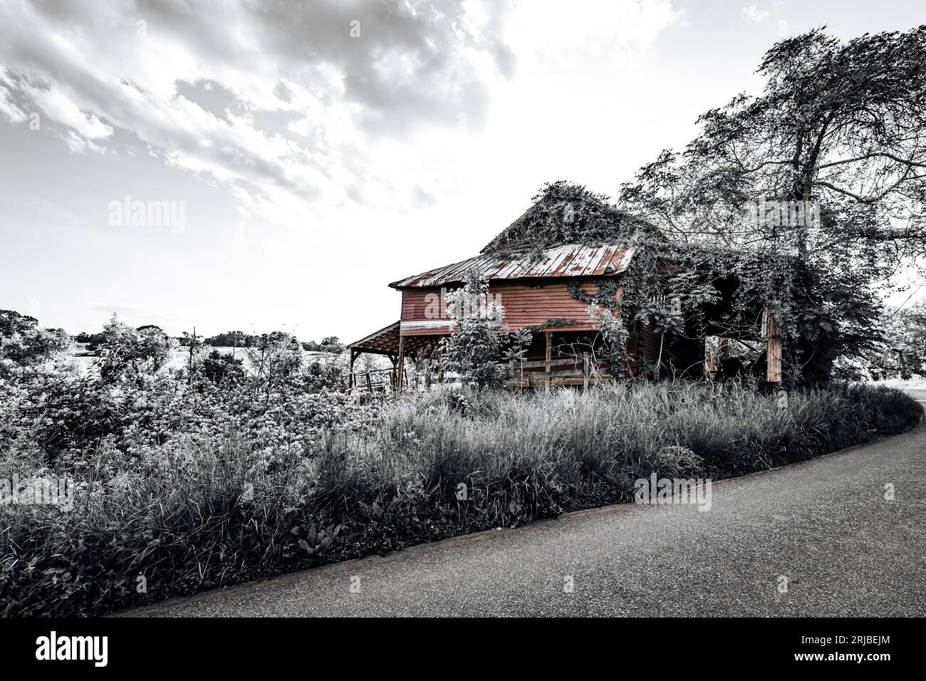 A selective color of an aged rural structure stands along a rural road ...