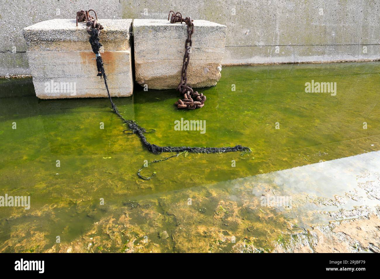 Concrete block with rusty chain on a puddle of green water with ...