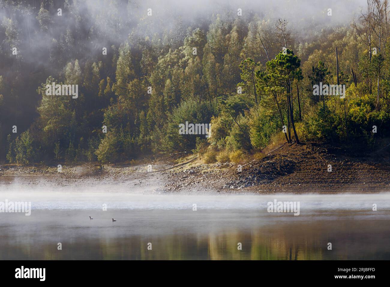 Beautiful landscape birds river hi-res stock photography and images - Alamy