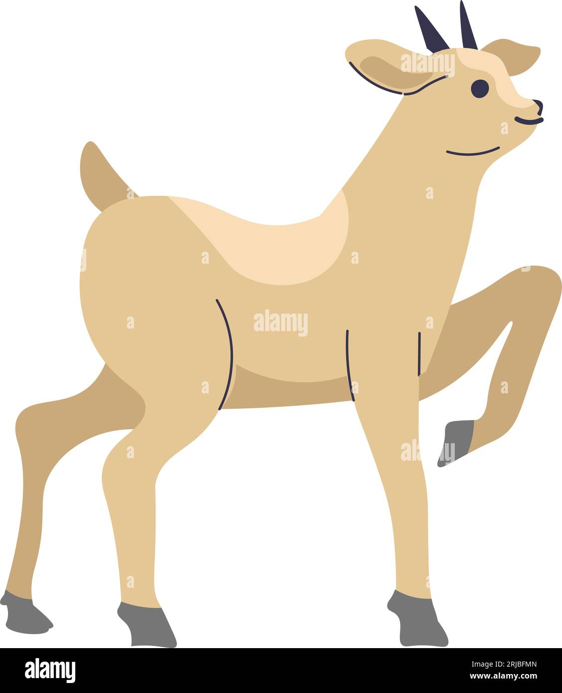 Small goat, farm animal breeding and growth vector Stock Vector Image ...