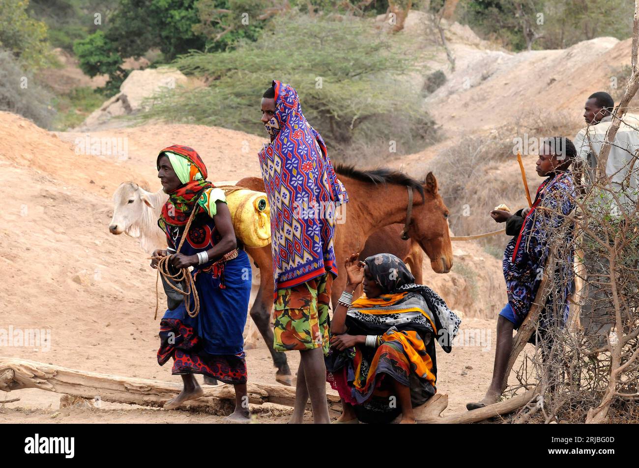 Borana people with cattle. Borana Region, Oromia, Ethiopia Stock Photo ...