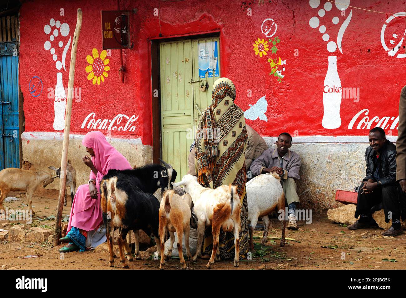 Harari people and goats in a Harar street. Hararghe, Harari Region ...