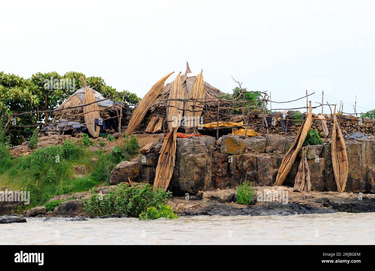 Lake Tana island with huts and traditionals weed boats or tankwa made ...