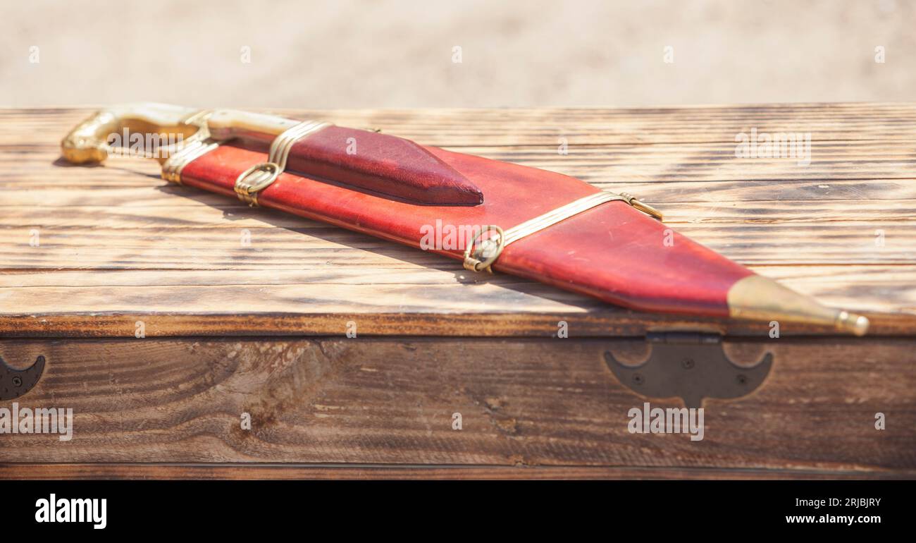 Celtiberian falcata and knife holstered in his case. Celtiberians ...