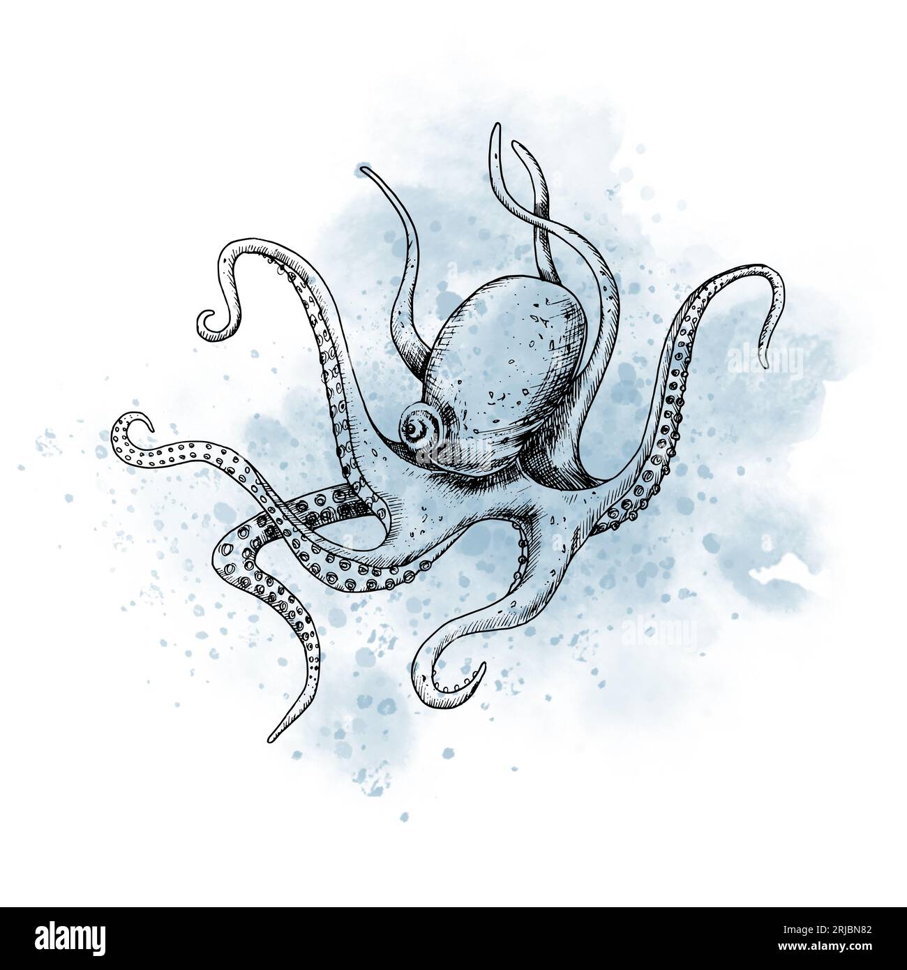 Octopus Drawing Outline Octopus Outline Embroidery Design