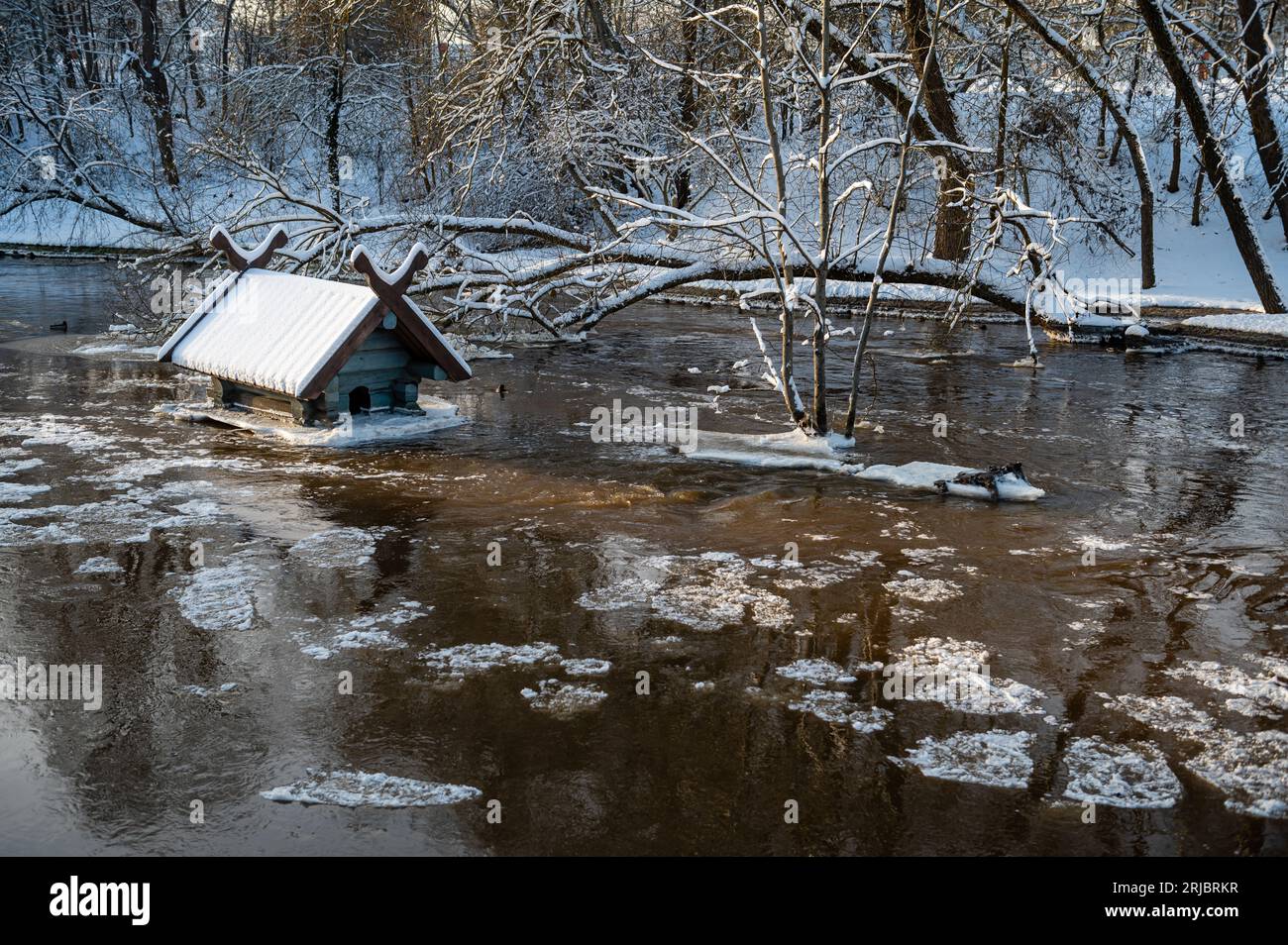 spring floods and ice melt in a small river, waterfowl feeder flooded ...