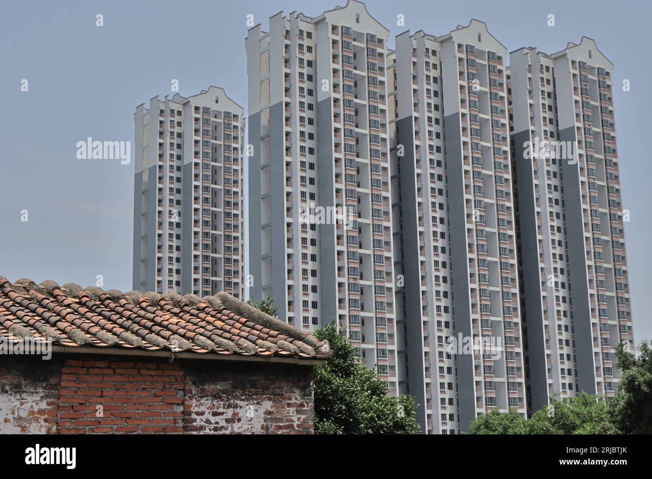 Two high rise apartment buildings towering above a landscape of trees ...