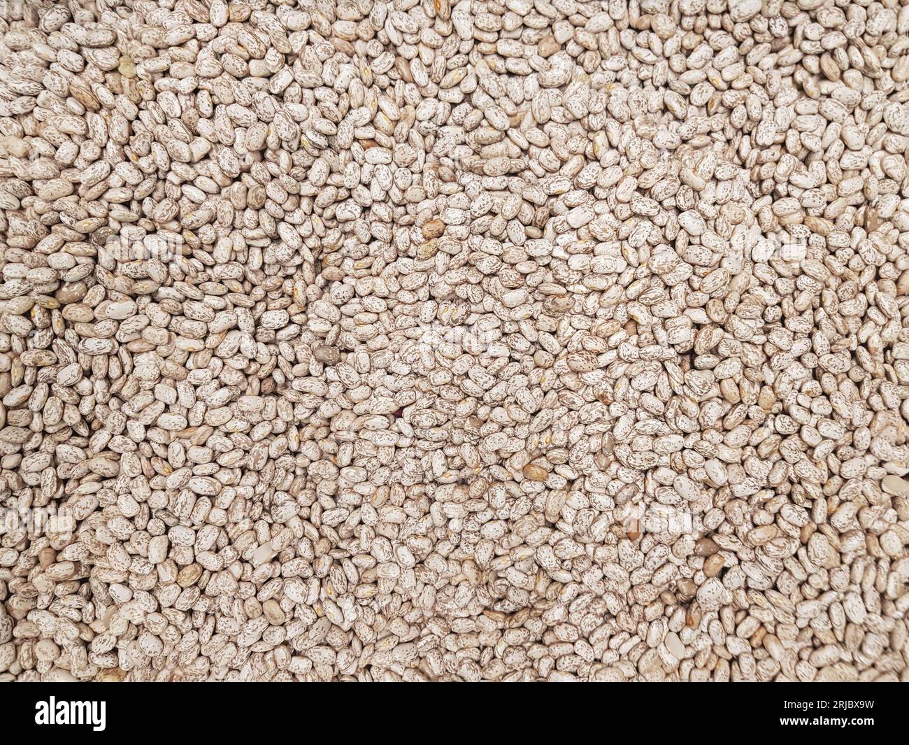 Pinto kidney bean texture background Stock Photo - Alamy