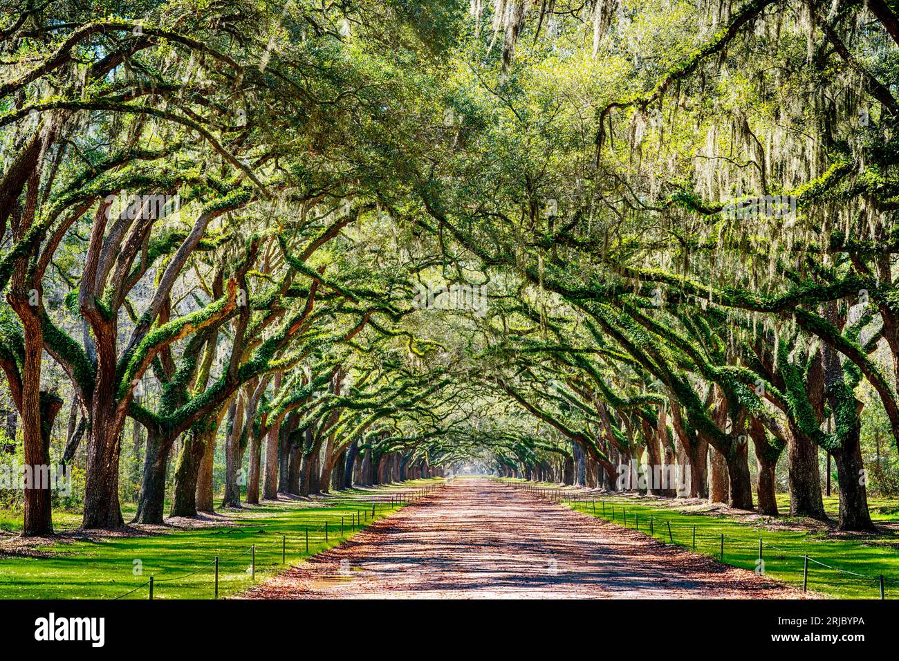 South america alley night hi-res stock photography and images - Alamy