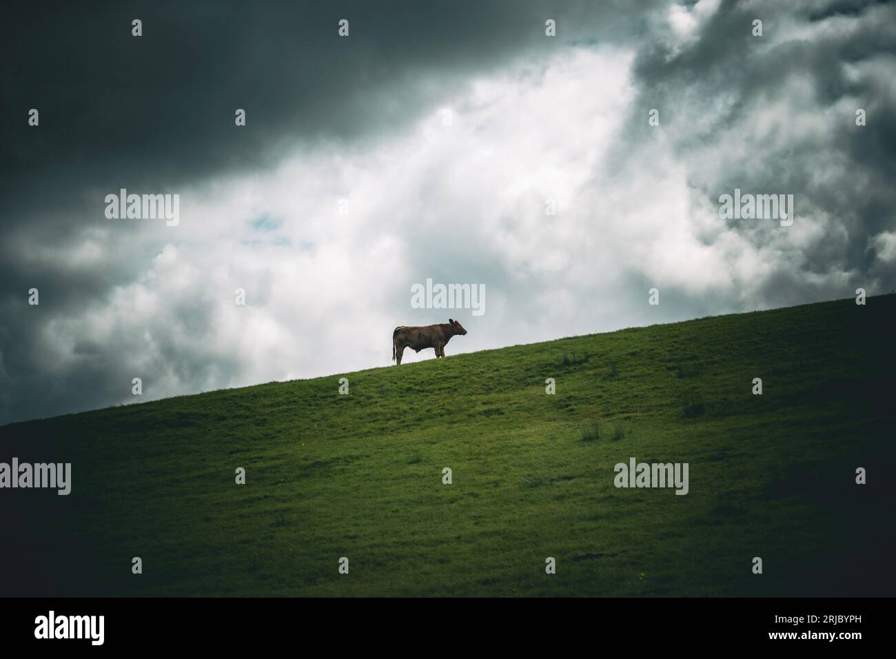 County claire ireland hi-res stock photography and images - Alamy