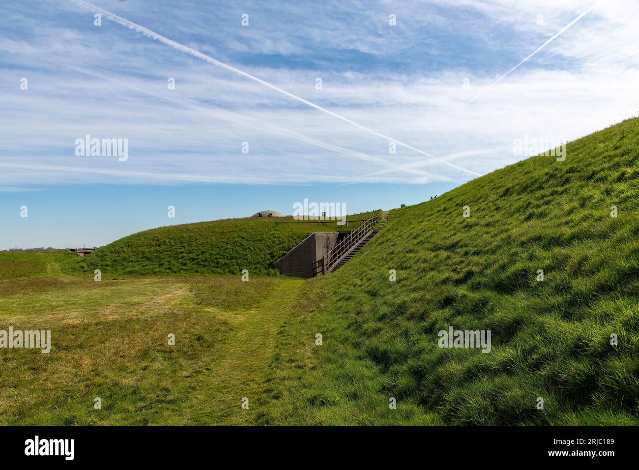 Westbeemster, The Netherlands-April 2022; View over grass overgrown ...
