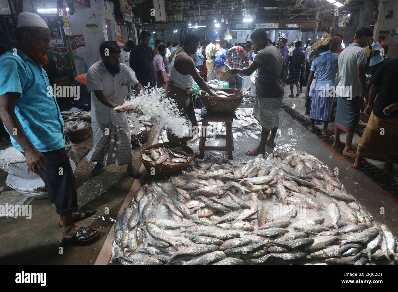Chandpur fish market hi-res stock photography and images - Alamy