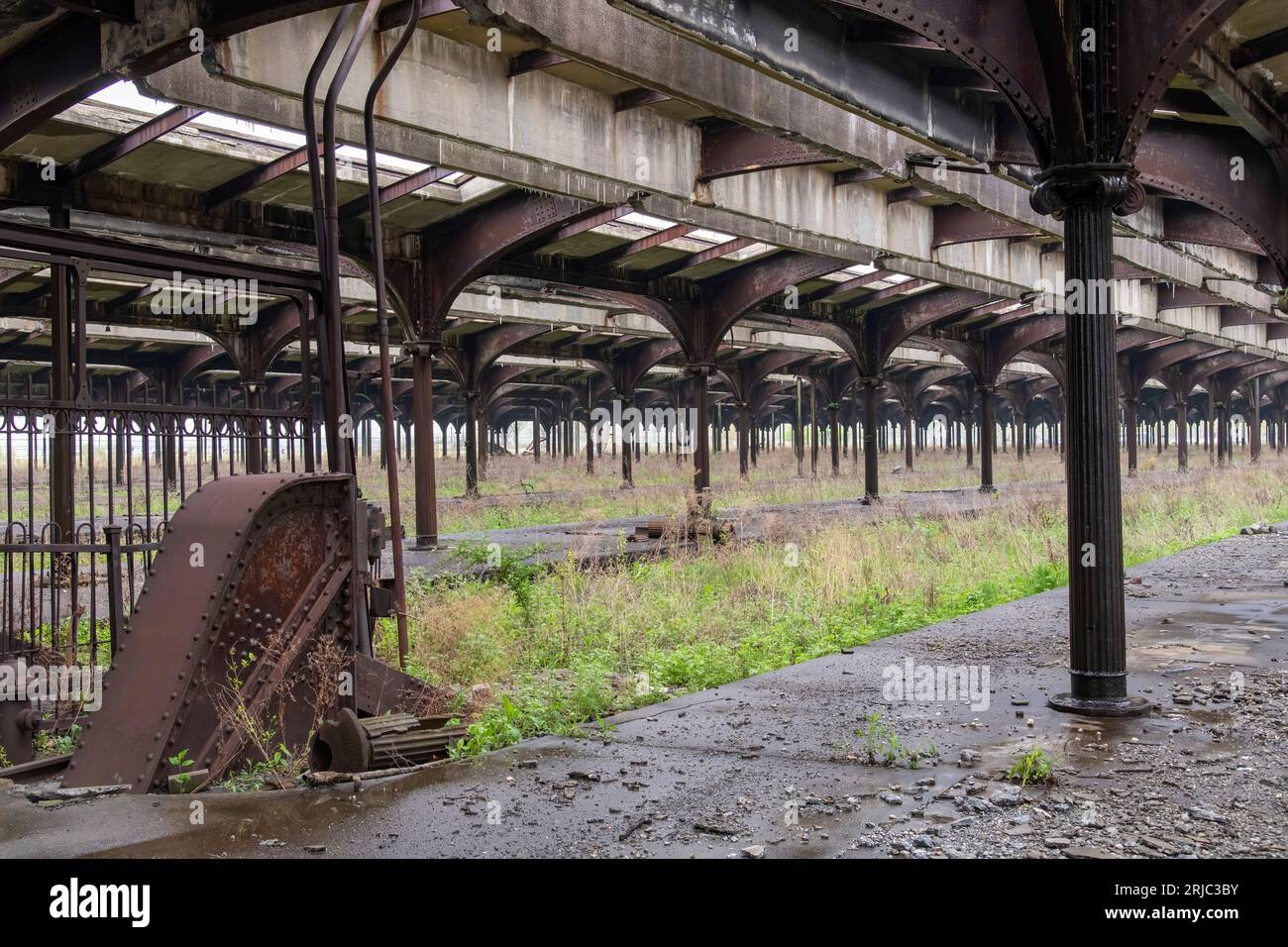 Jersey City, NJ, USA-May 2022: Interior view of the weed overgrown ...