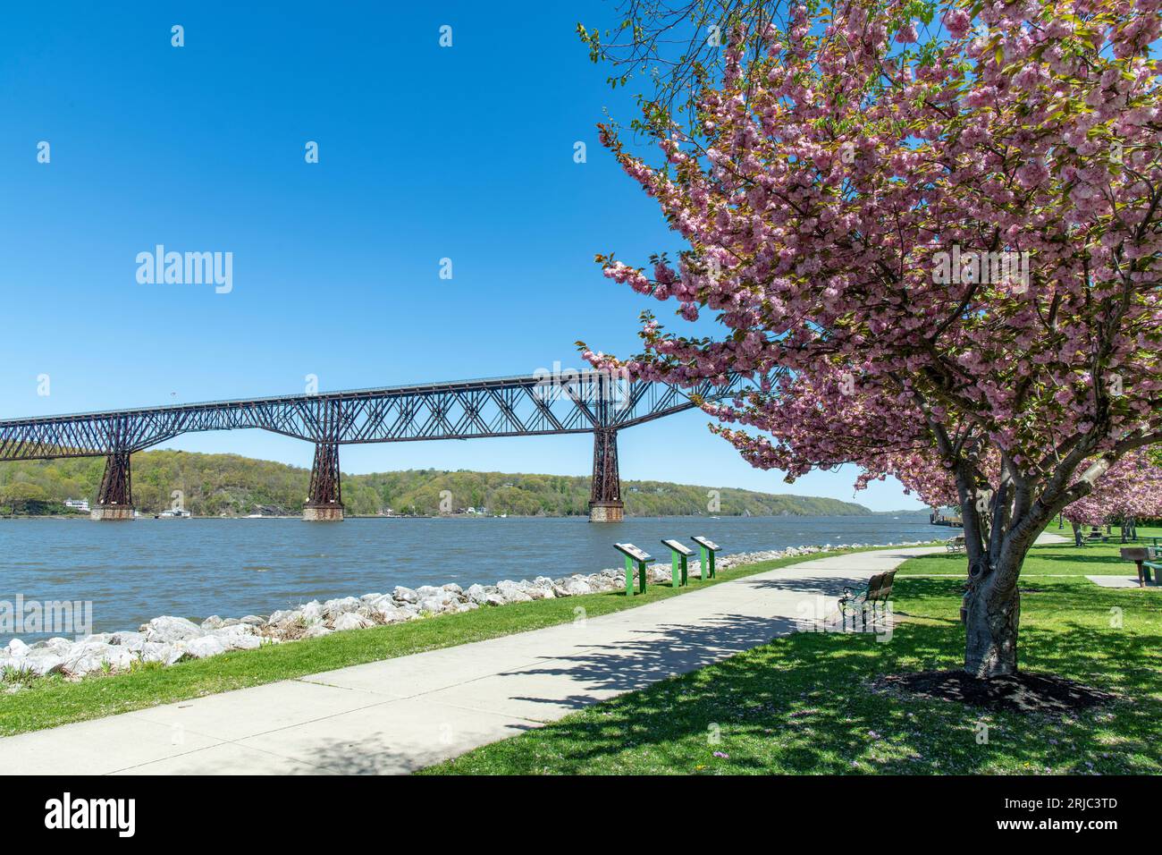Poughkeepsie, NY, USA-May 2022; View from the Waryas Park Promenade with purple blooming tree ...