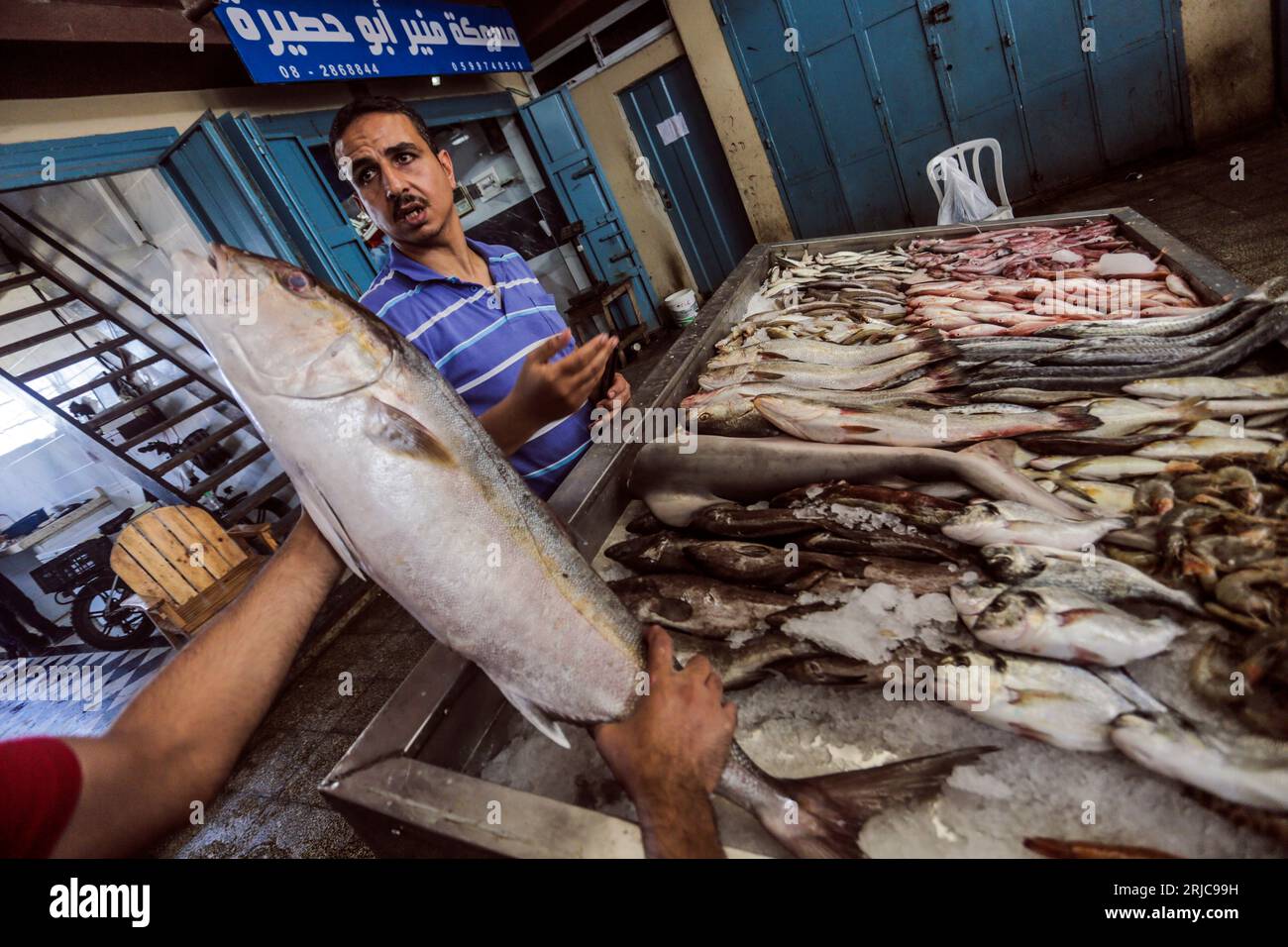 August 22, 2023, Gaza City, The Gaza Strip, Palestine: Palestinian ...