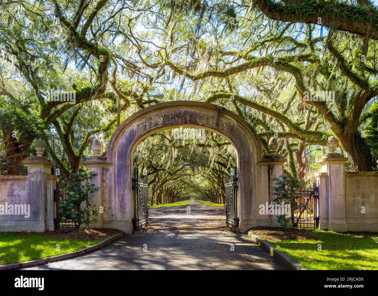 Historic Wormsloe Plantation Entrance Savannah,Georgia, United States ...