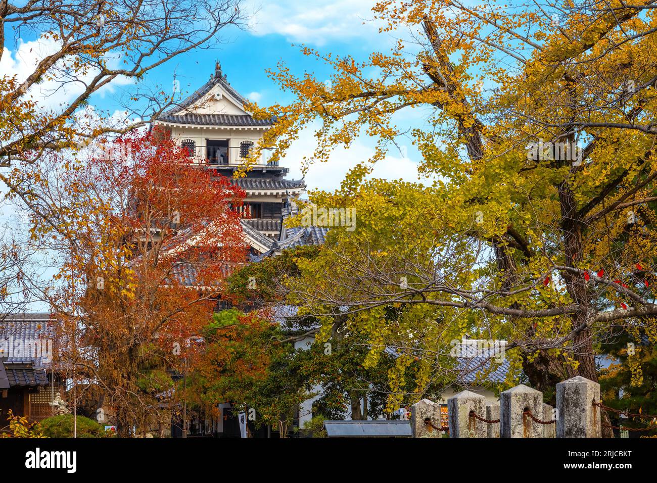 Nakatsu, Japan - Nov 26 2022: Nakatsu Castle known as one of the three ...
