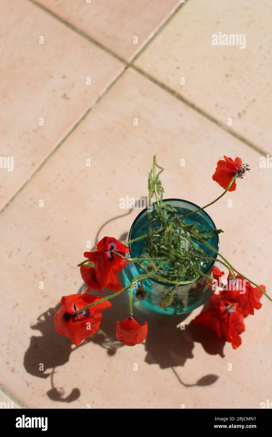 Dying in sun hi-res stock photography and images - Alamy