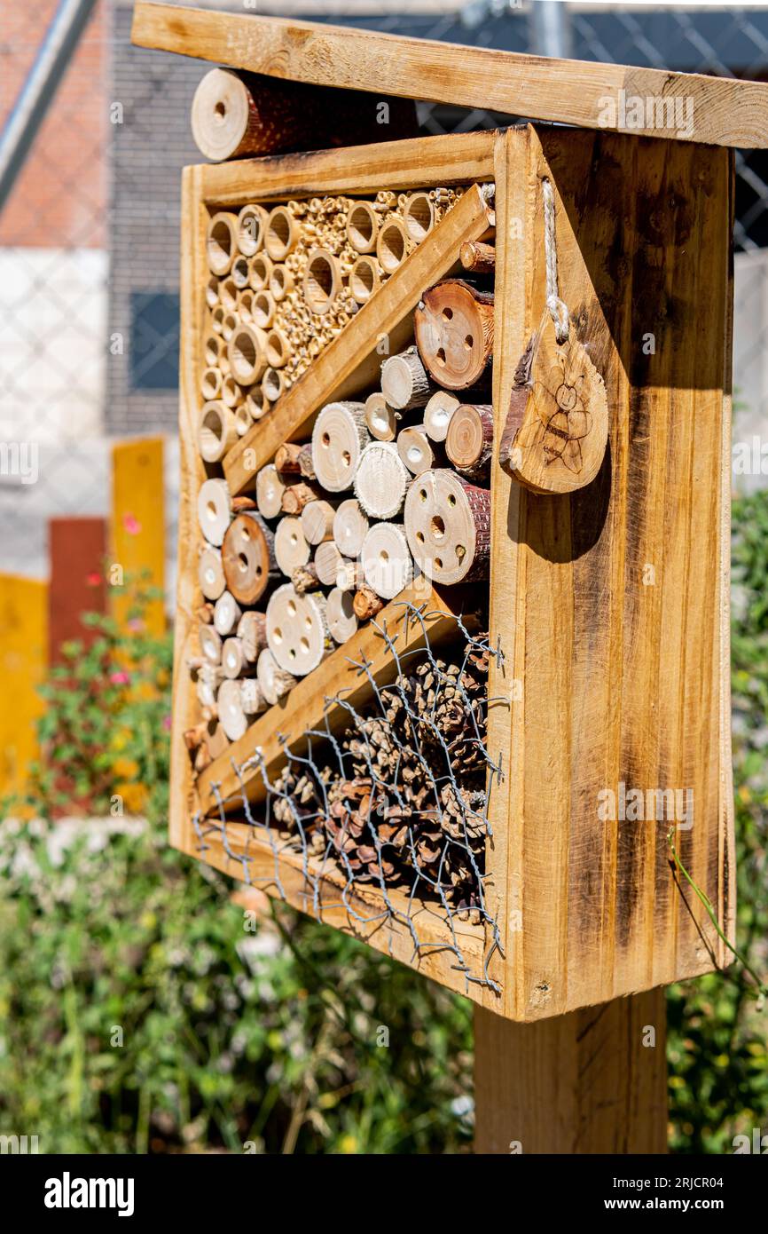 Insect structure hi-res stock photography and images - Alamy