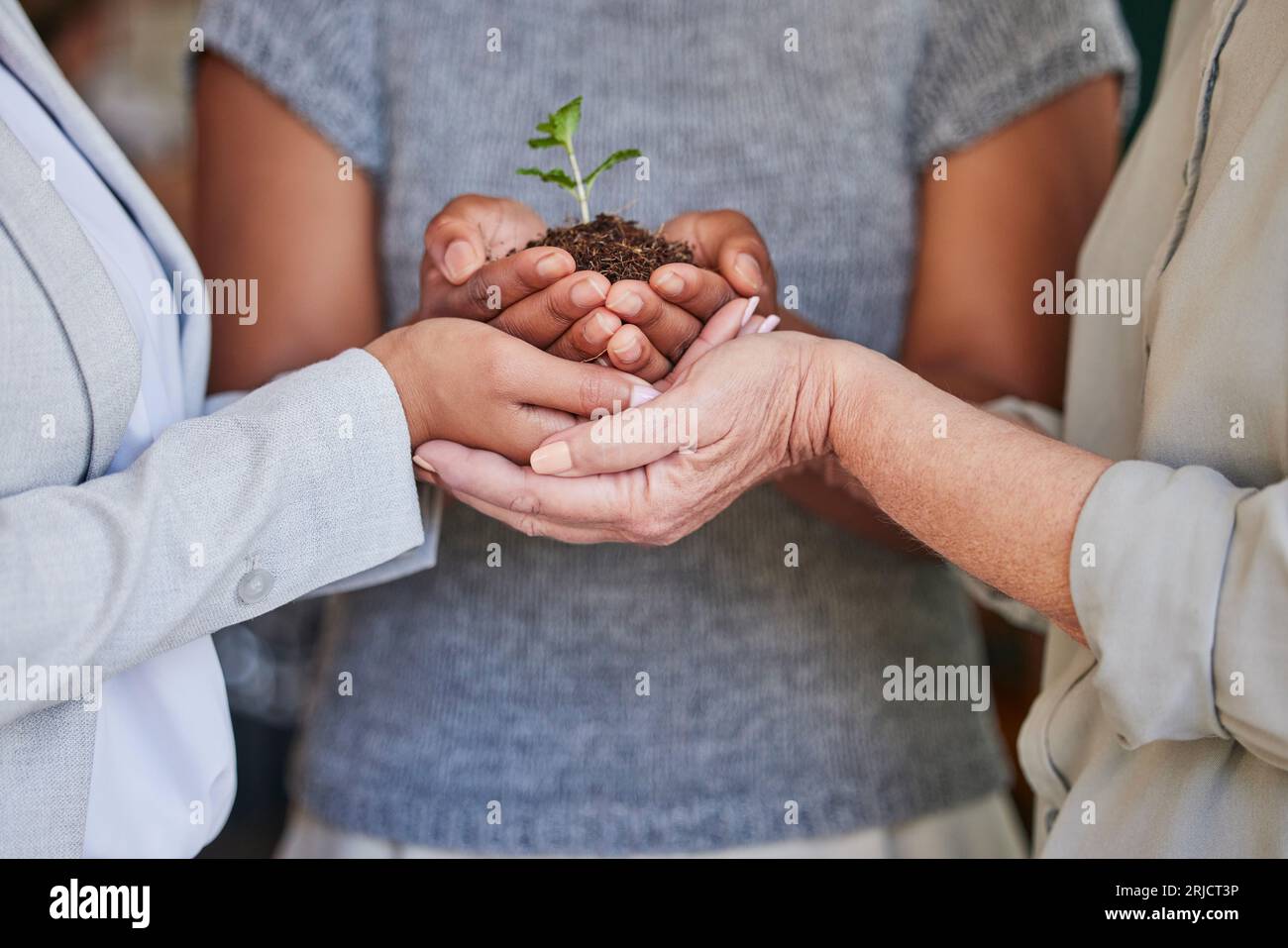 Plant grow, hands and professional people support sustainability, green ...