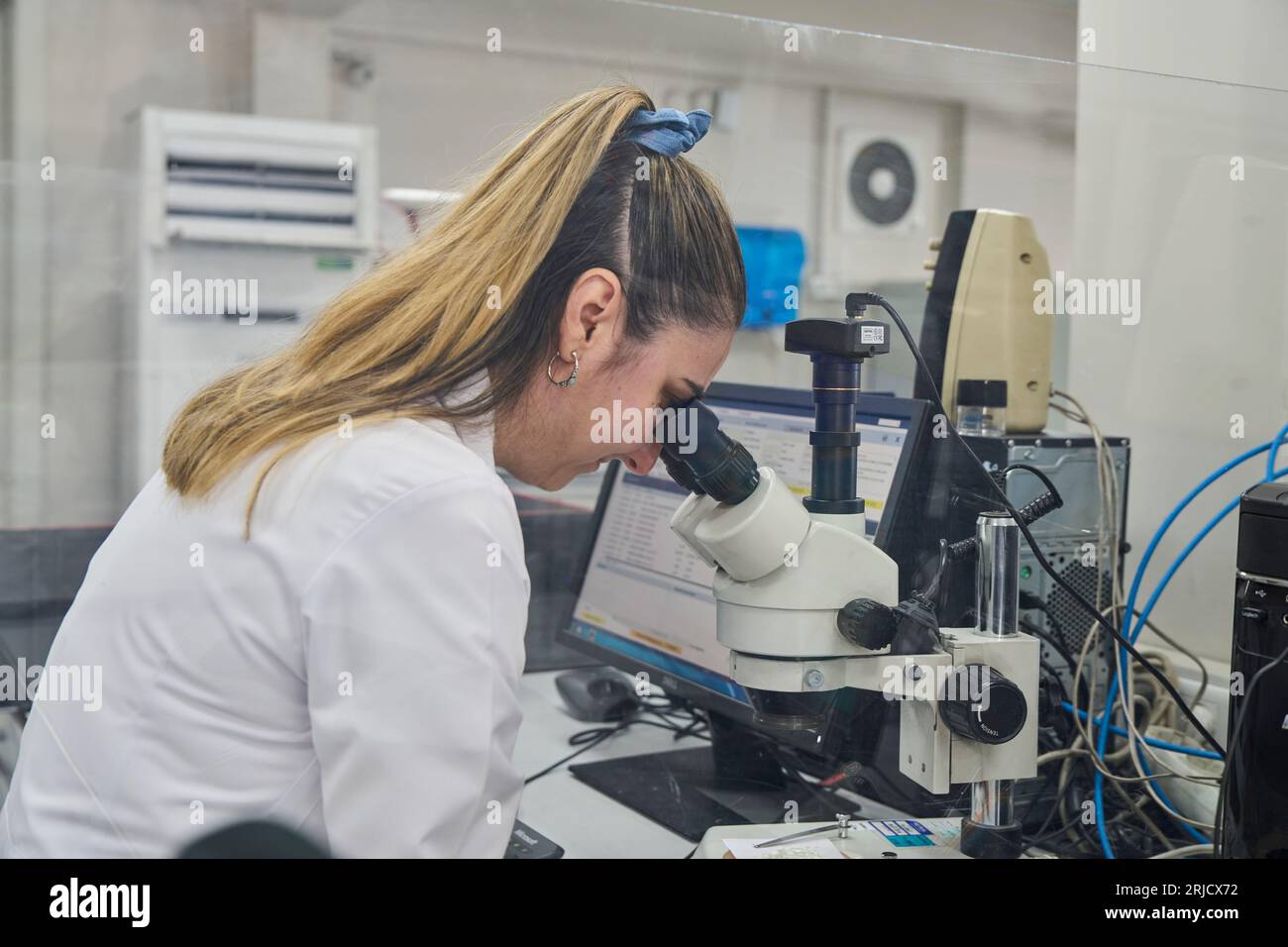 people Working in the laboratory of a modern factory. quality ...
