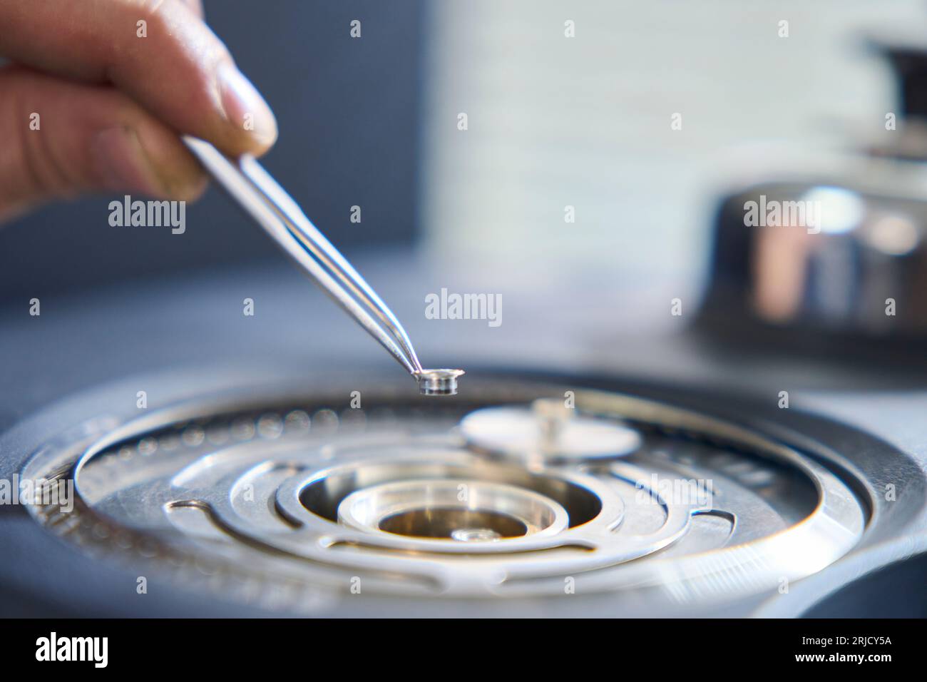 people Working in the laboratory of a modern factory. quality ...