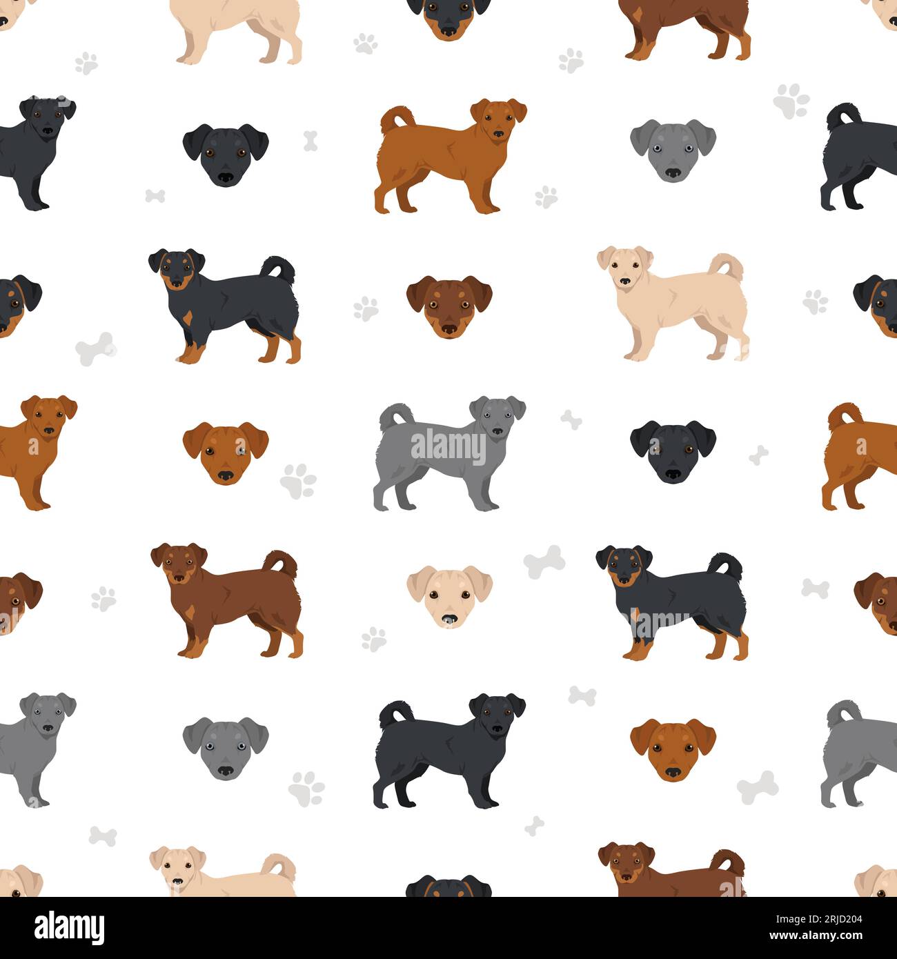 Chiweenie seamless pattern. Chihuahua Dachshund mix. Different coat ...