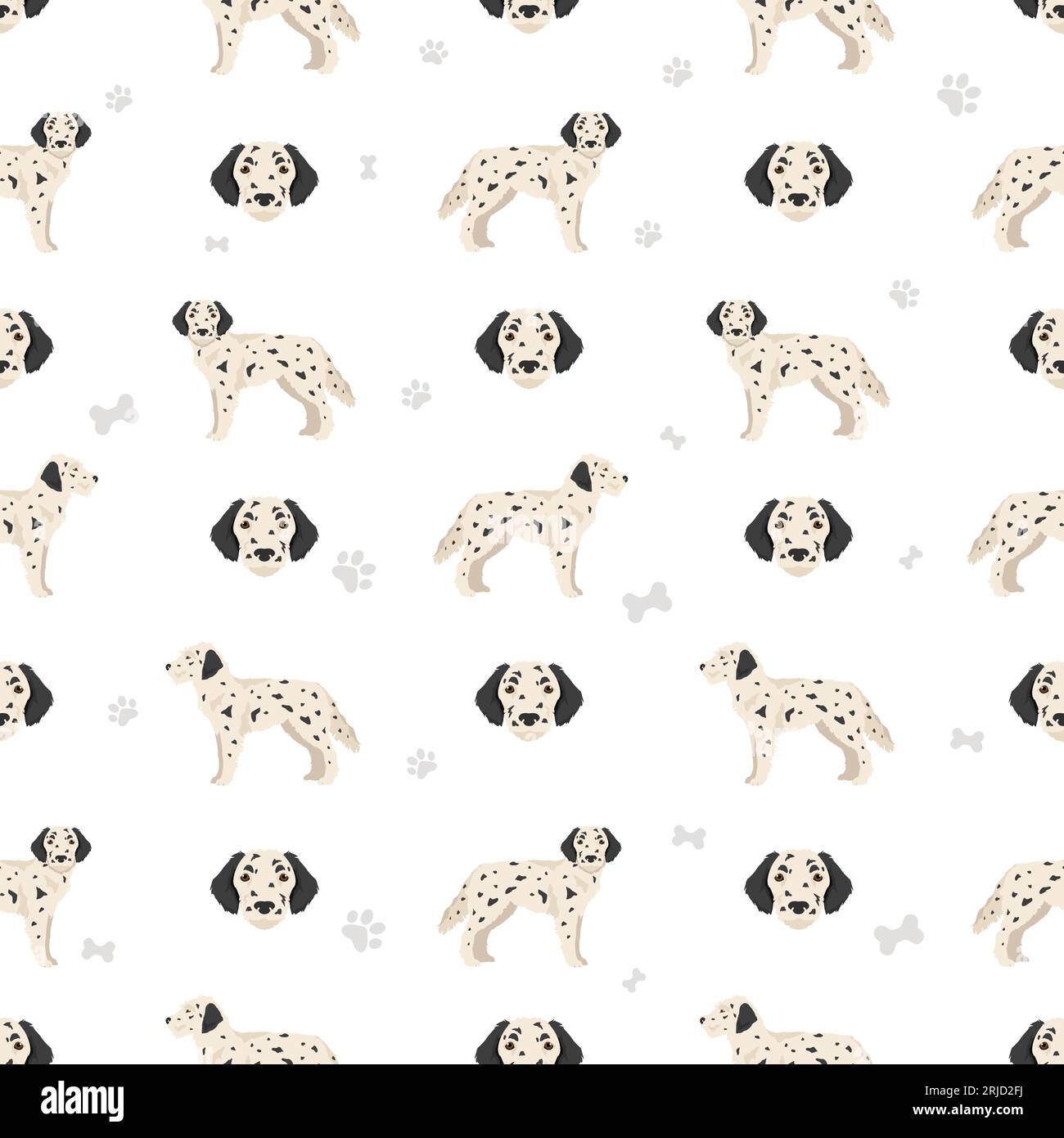 Dalmadoodle seamless pattern. Dalmatian Poodle mix. Different coat ...