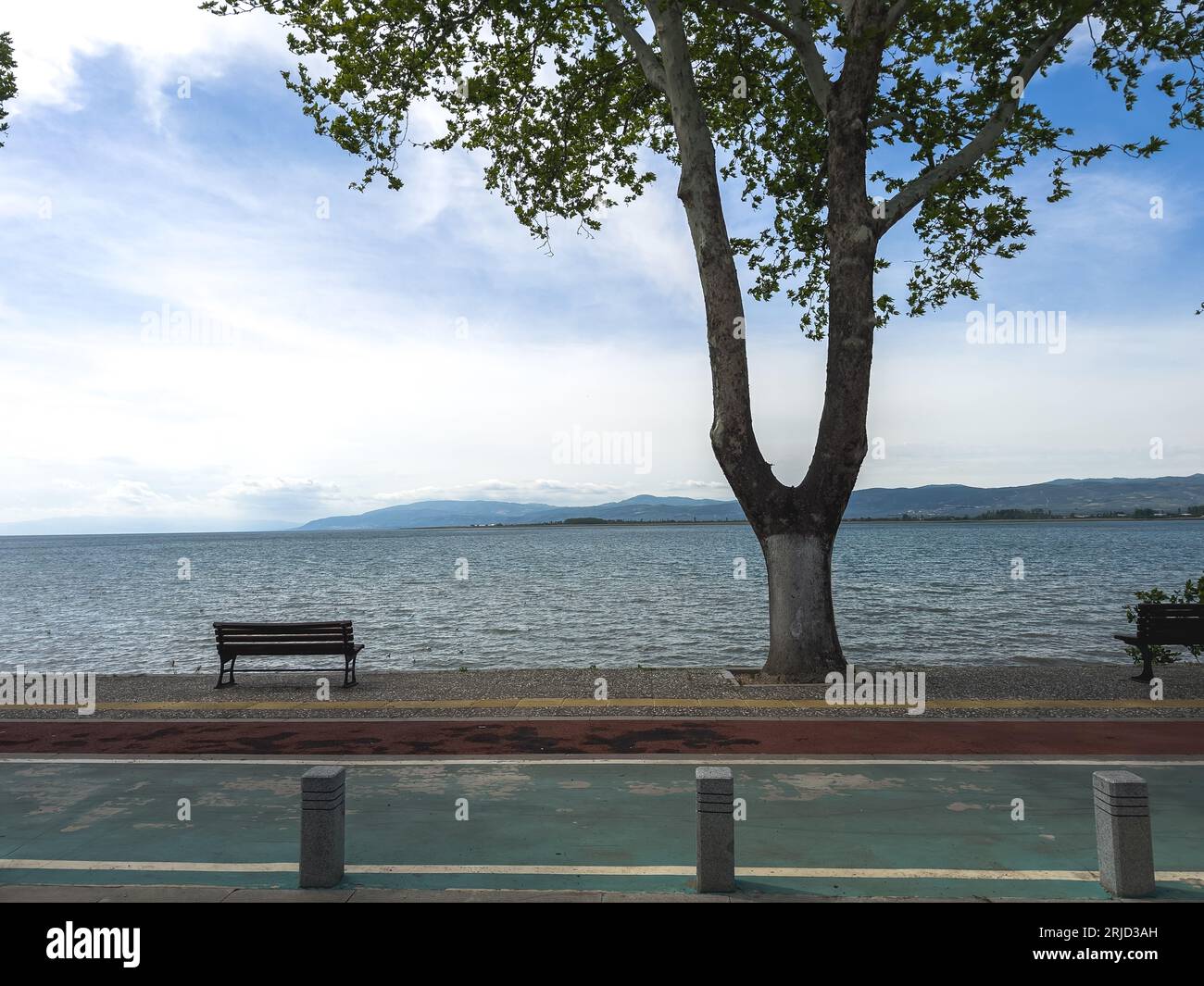 empty bench by the lake , alone with nature concept , blank space for ...