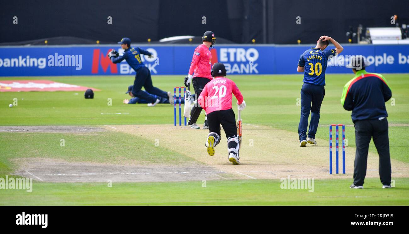 Cricket head in hands hi-res stock photography and images - Alamy