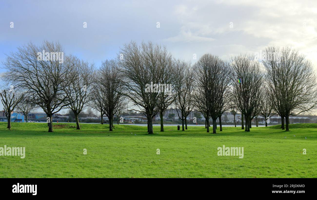 A line of trees in a park beside a lake with a white, grey and blue sky ...