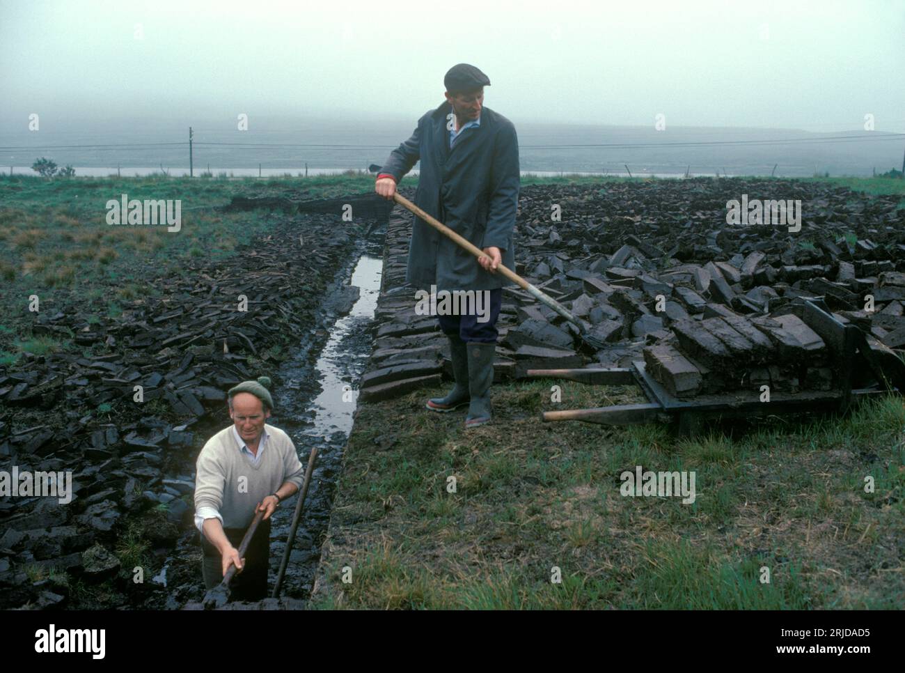 Peat Bog, Ireland 1970s. Rural west coast, men cutting peat turfs from ...