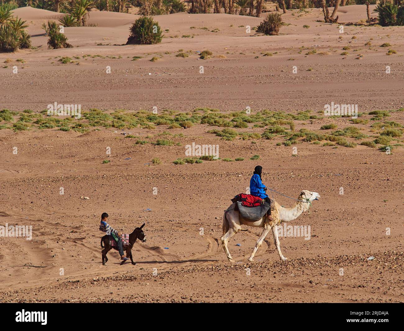 unrecognizable people riding a camel and a donkey through the desert of ...
