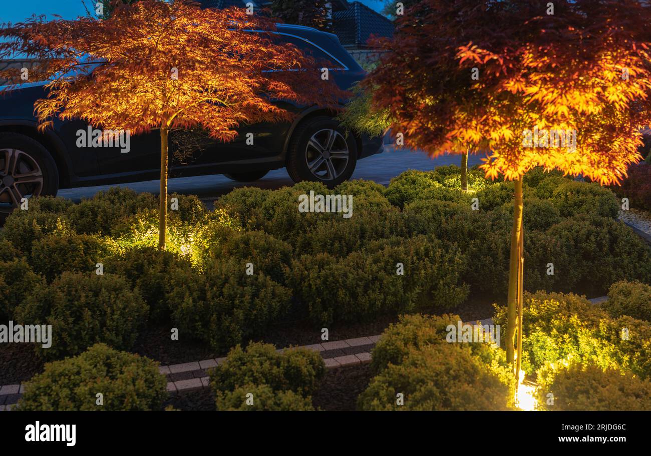 Night garden shrub lighting hi-res stock photography and images - Alamy