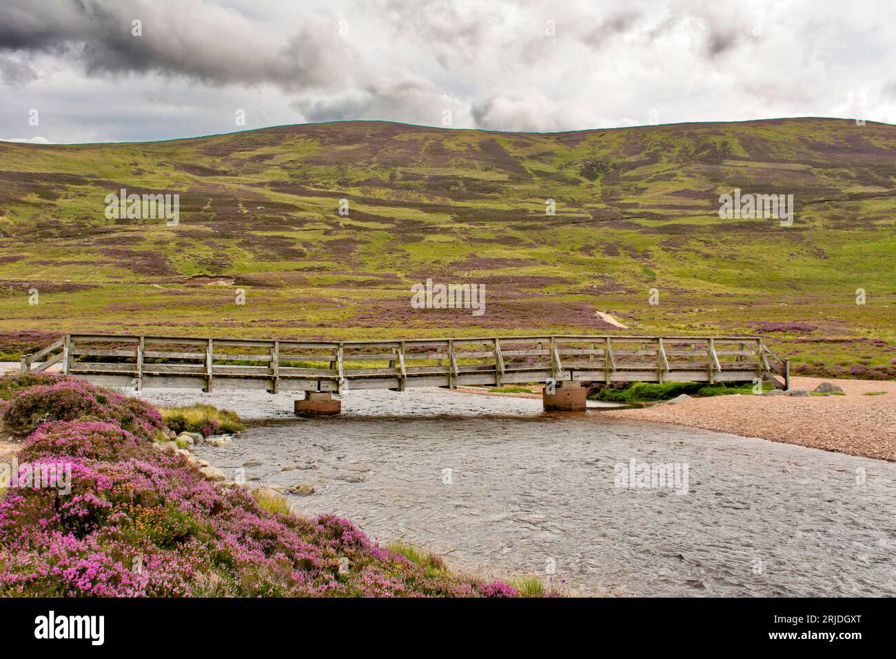 Loch Muick Ballater Balmoral Estate Scotland wooden bridge and purple ...