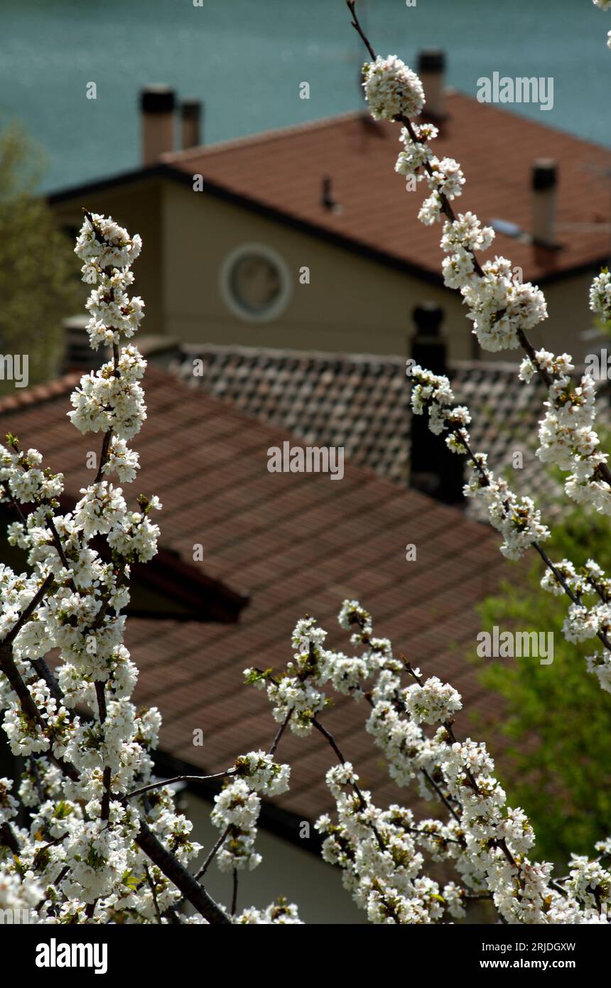 Tetti tetti tetti tetti hi-res stock photography and images - Alamy