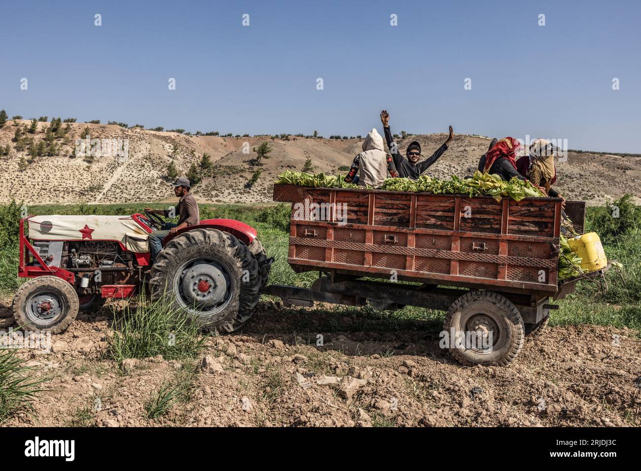 Al jalamah hi-res stock photography and images - Alamy